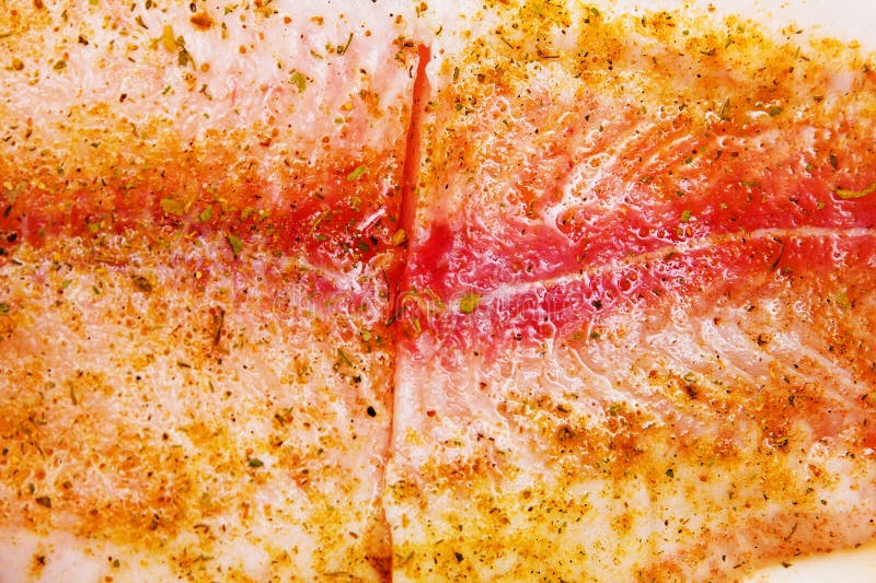 Fish fillet under spices stock image. Image of marinated - 17617545