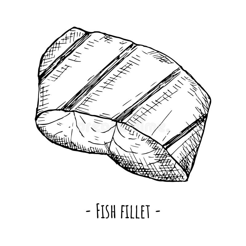 Fish Fillet. Vector Illustration. Isolated on White. Hand-drawn. Stock ...