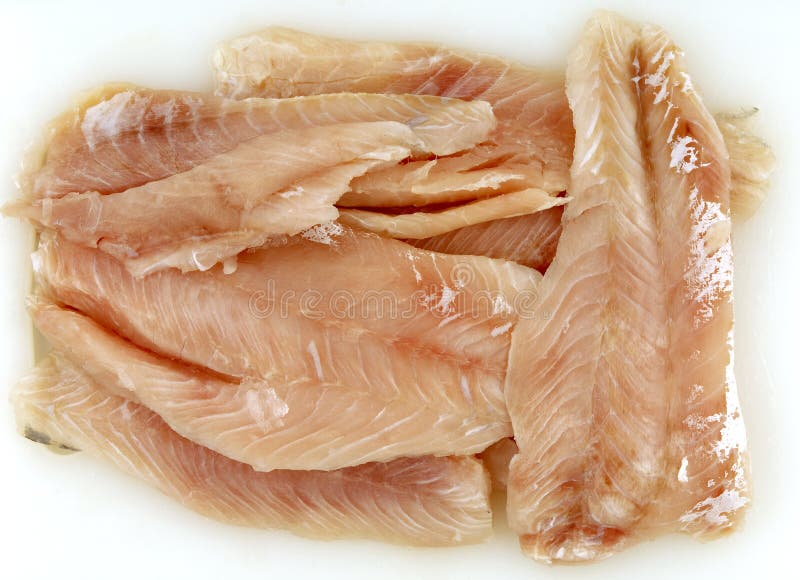 Fish fillet stock photo. Image of eating, fishing, food - 3582422