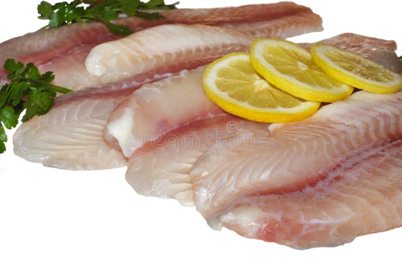 Fish fillets stock photo. Image of kitchen, background - 4760258
