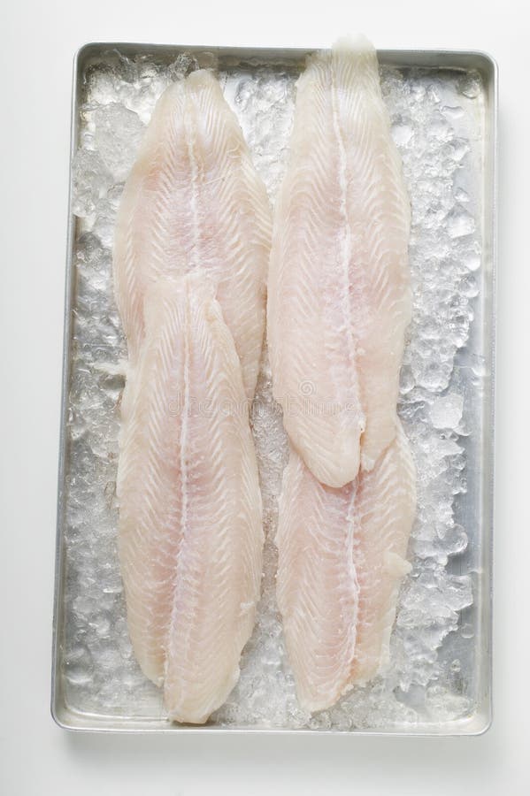 Fish fillets stock photo. Image of bird, fillets, ingredients - 7676142