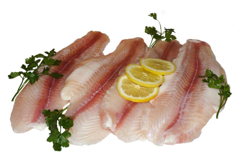 Fish fillet stock photo. Image of eating, fishing, food - 3582422