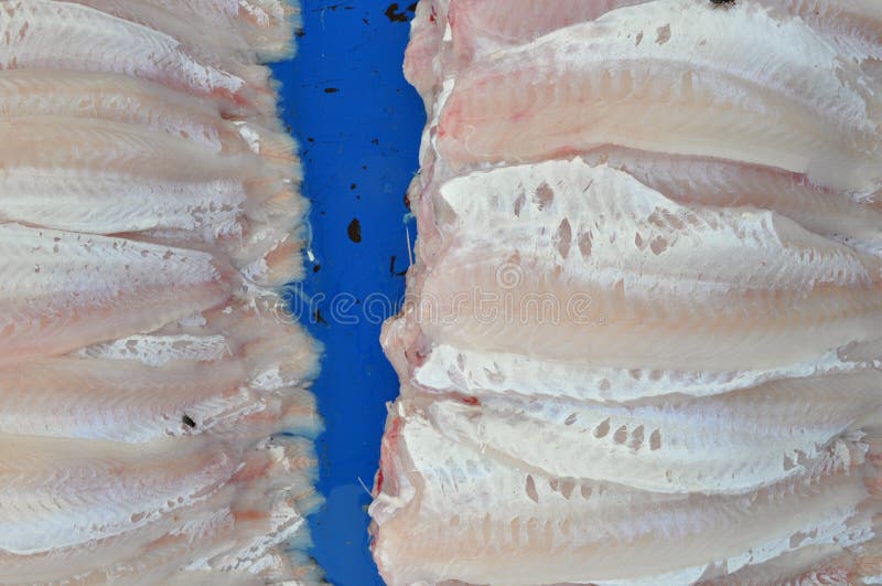 Fish Fillets. stock photo. Image of food, healthy, ingredient - 30231168