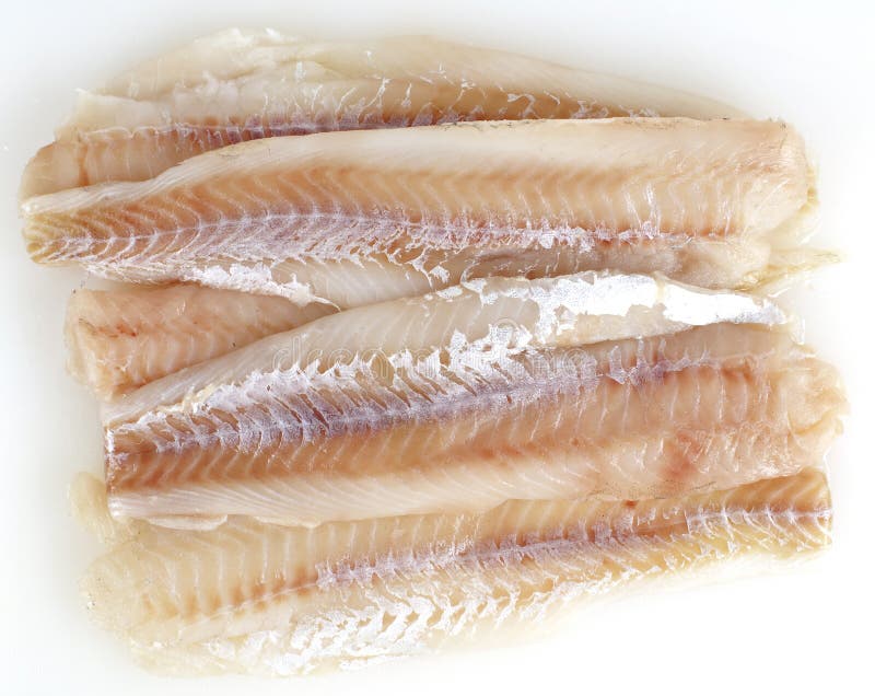 Red snapper fish meat stock photo. Image of restaurant - 7237512