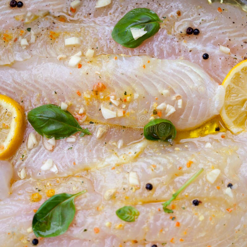 Fish fillets stock image. Image of freshness, basil, food - 38997865