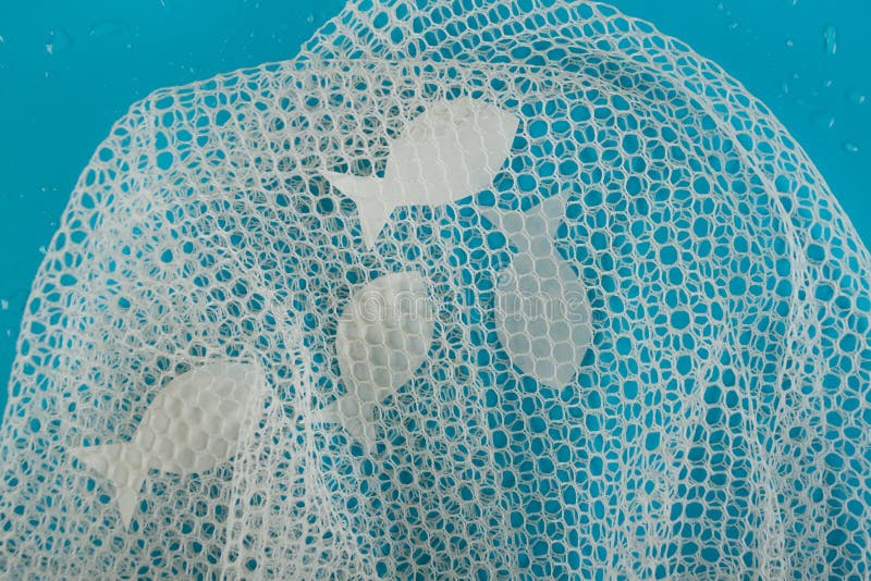 707 Troll Fish Stock Photos - Free & Royalty-Free Stock Photos from ...