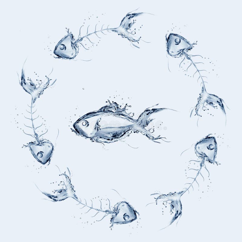 Water Fishbone stock photo. Image of body, swim, creative - 17185970