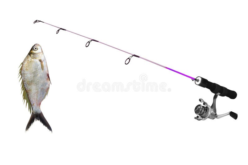 Fish on fishing-rod stock photo. Image of animal, water - 67685726