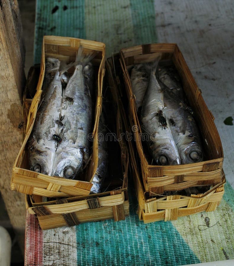 Fish with Flies in Traditional Stall Stock Photo - Image of produce ...