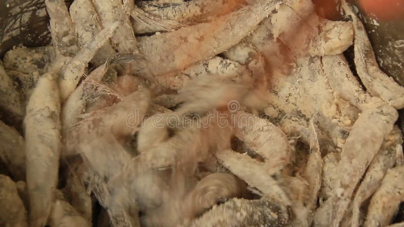 Fish with flour to fry stock video. Video of fresh, food - 109015103