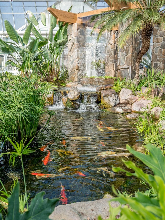 Fish and Flowers and water stock photo. Image of plants - 113385940