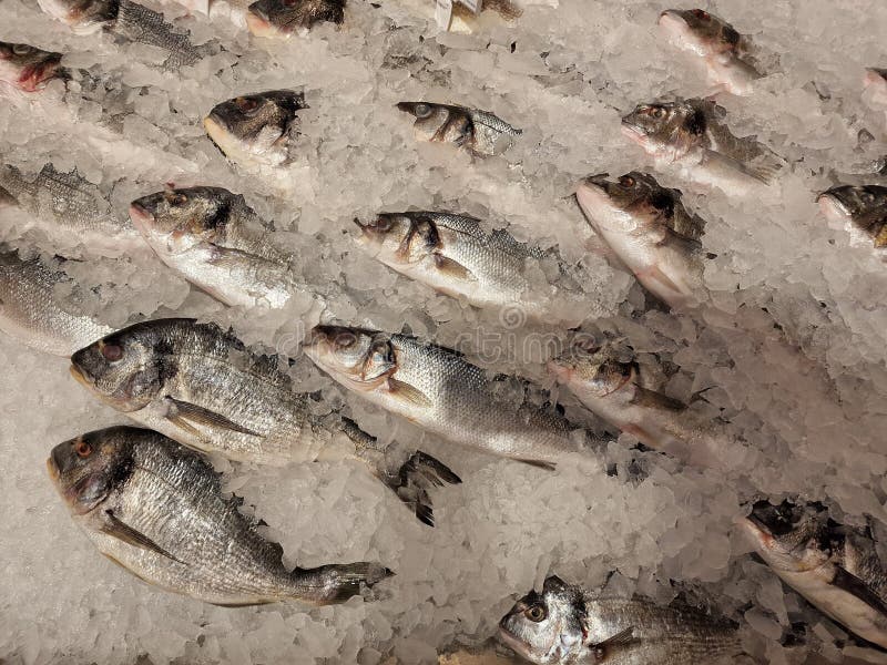 Fish in Foil Baked in the Oven, Food. Stock Photo - Image of fish ...