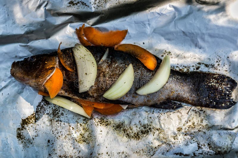 Fish stock image. Image of health, tench, cook, healthy - 58088841