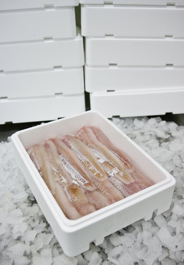 Fish food in box stock photo. Image of industrial, packaging - 11402002