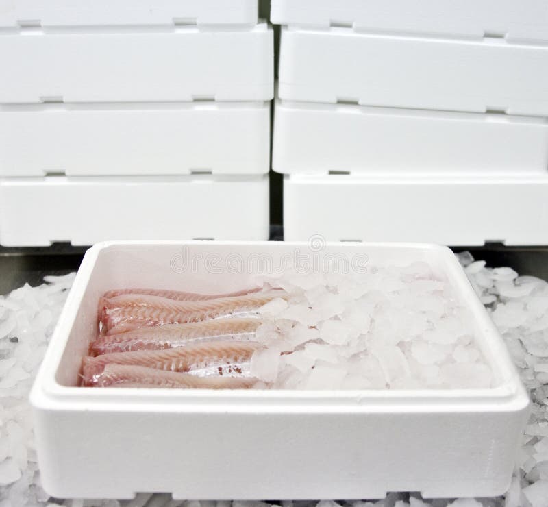 Fish food in box stock image. Image of manufacture, industrial - 11402129