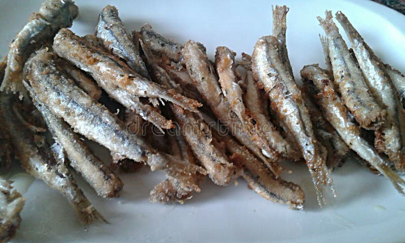 Fish food stock photo. Image of fish, food, plate, lunch - 73792872