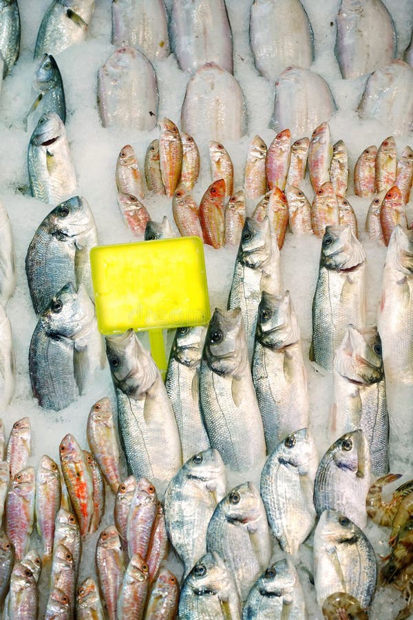 Fish Food in a Fish Market Stand Stock Photo - Image of fishing, diet ...