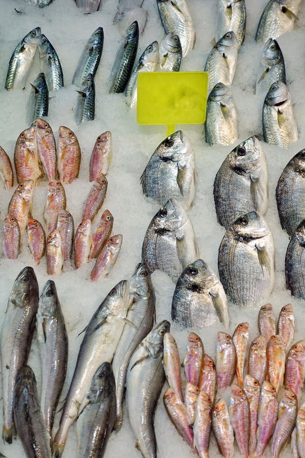 Fish Food in a Fish Market Stand Stock Image - Image of market, pile ...