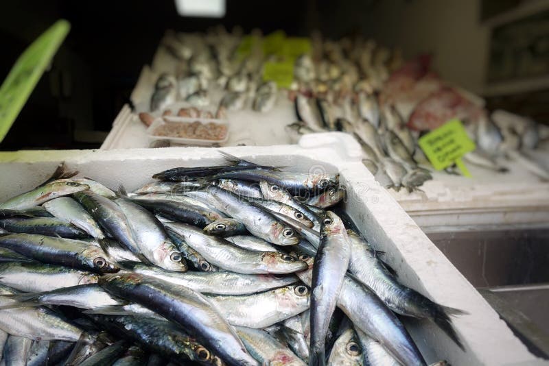 Fish Food in a Fish Market Stand Stock Image - Image of diet, fishery ...