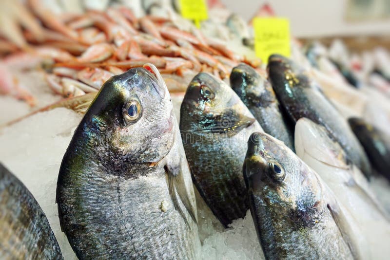 Fish Food in a Fish Market Stand Stock Image - Image of meal, dinner ...