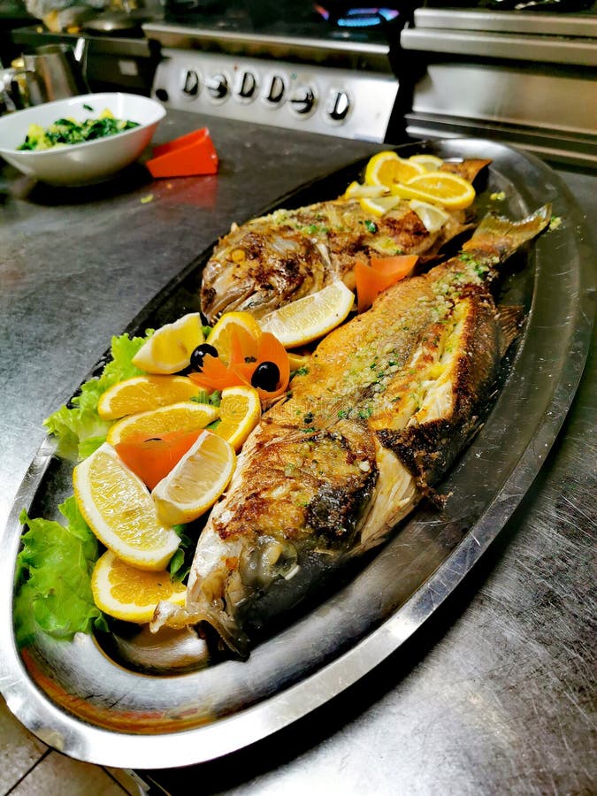 Fish Food Meal Animal Dalmatian Food Stock Photo - Image of salad, food ...