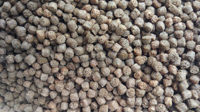 Fish Food with medium size stock photo. Image of medium - 227061028