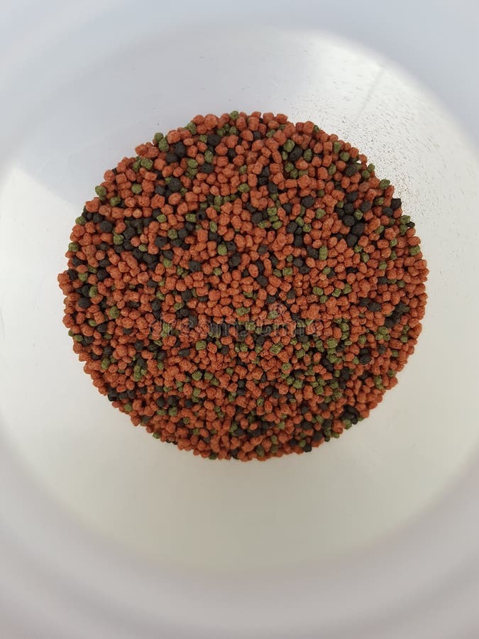 Fish Food Peep into the Mouth Bottle White Background Stock Photo ...