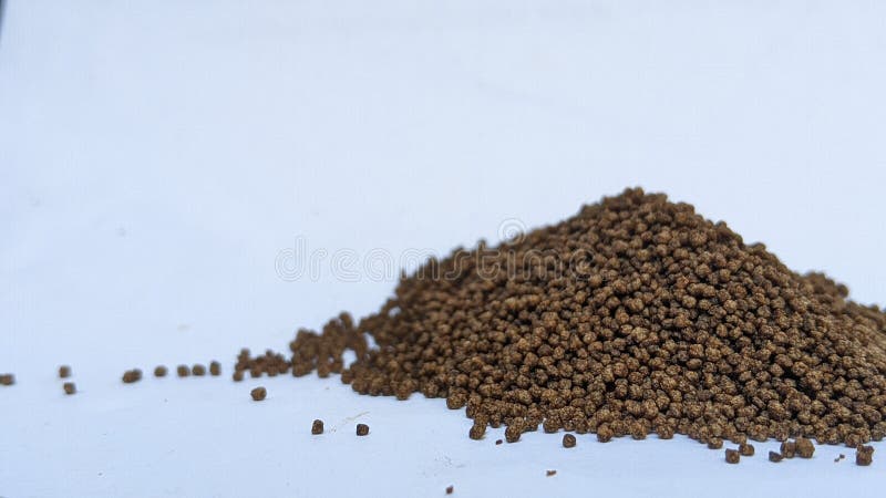 Fish food product Pellet stock image. Image of food - 266635227