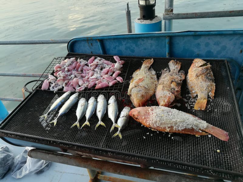 Fish stock image. Image of water, fish, food, grilledfish - 134206933