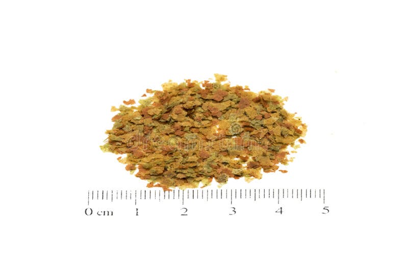 Fish food 17 stock photo. Image of natural, color, mixed - 38565586