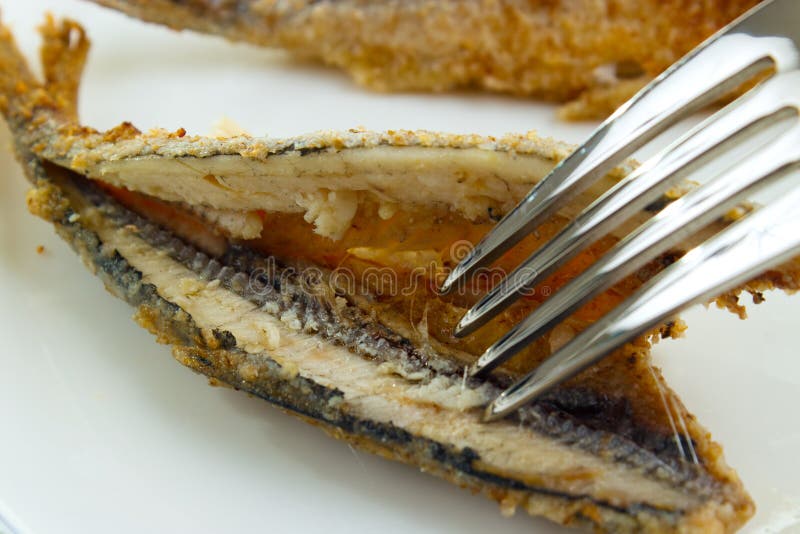 Fish with fork stock image. Image of dish, plate, dining - 38620847