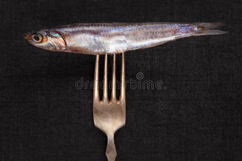 Fish on fork. stock photo. Image of copy, gourmet, concept - 49762860