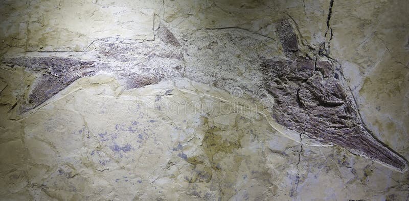 Liui Stock Photos - Free & Royalty-Free Stock Photos from Dreamstime