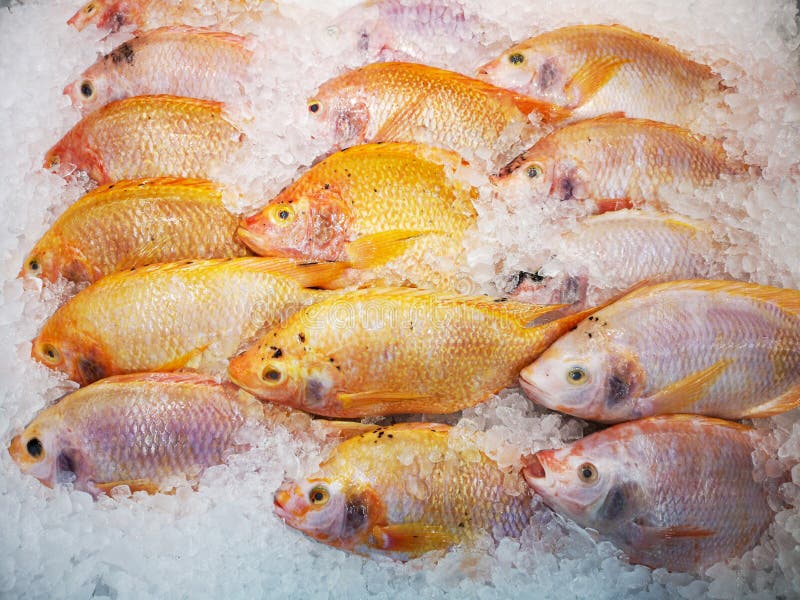 Fish Fresh Ice Cooled in Supermarket Stock Image - Image of cooking ...
