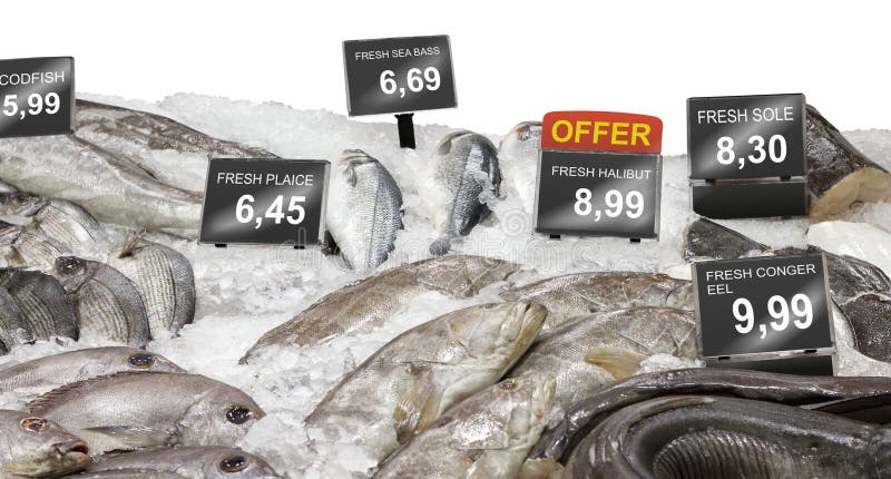 Fish stock image. Image of fishing, market, counter, offer - 60312751