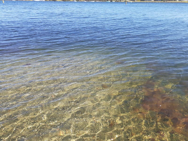 Fish Fresh River Catch and Grab Stock Photo - Image of grab, fresh ...