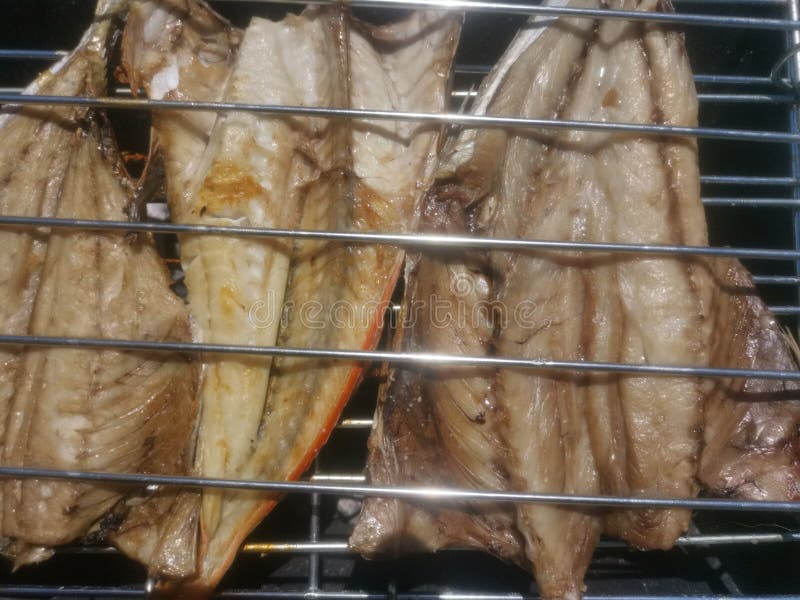 Fish from the Freshly Caught are almost Alive Stock Photo - Image of ...