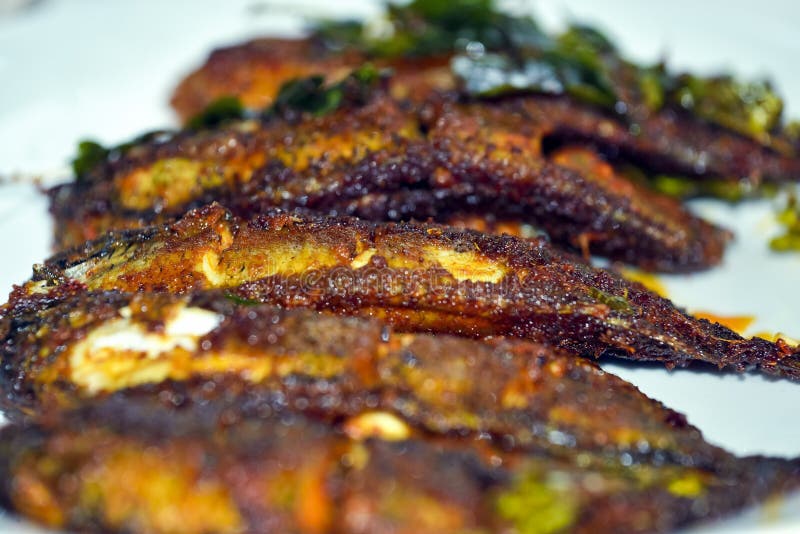 Tawa Fish Stock Photos - Free & Royalty-Free Stock Photos from Dreamstime