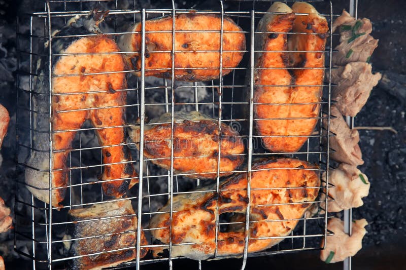 Fish Fried on a Grill at a Picnic Stock Image - Image of lunch, grilled ...