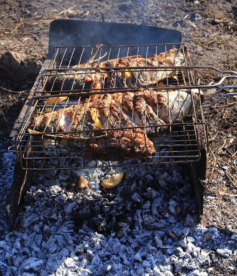 Fish Fried on the Grill Summer Outdoor Grill Smoke Stock Image - Image ...