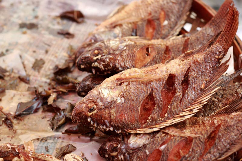 Fish fried in the market stock image. Image of meat, delicious - 38263179