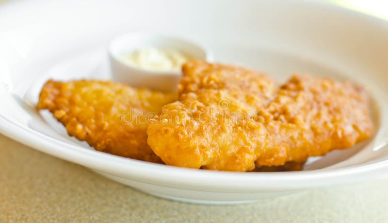 Fish and Chips stock image. Image of salad, tasty, fillet - 3166659