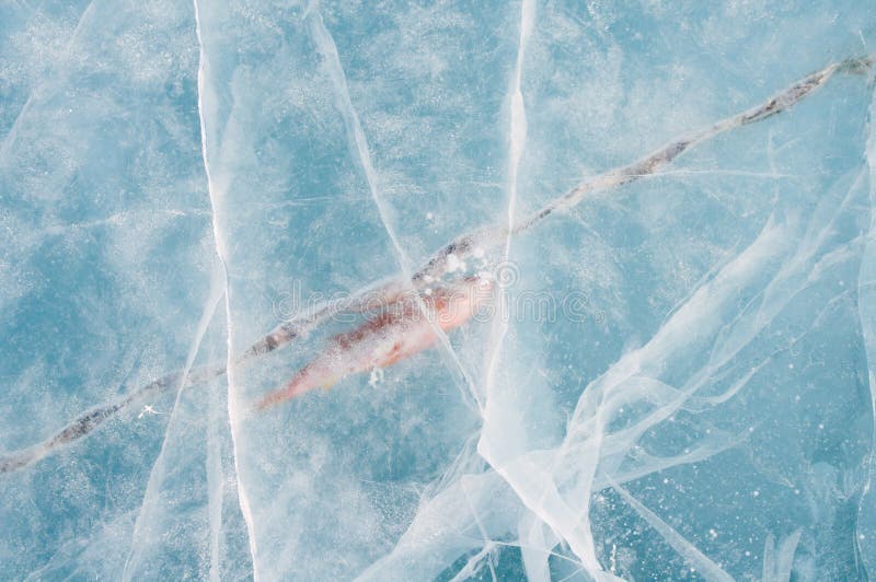 Fish frozen in ice stock photo. Image of healthy, nature - 79063410