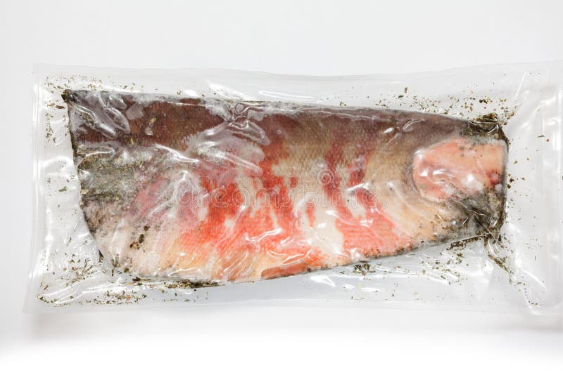Frozen salmon stock image. Image of taste, fresh, nutrition - 21162857