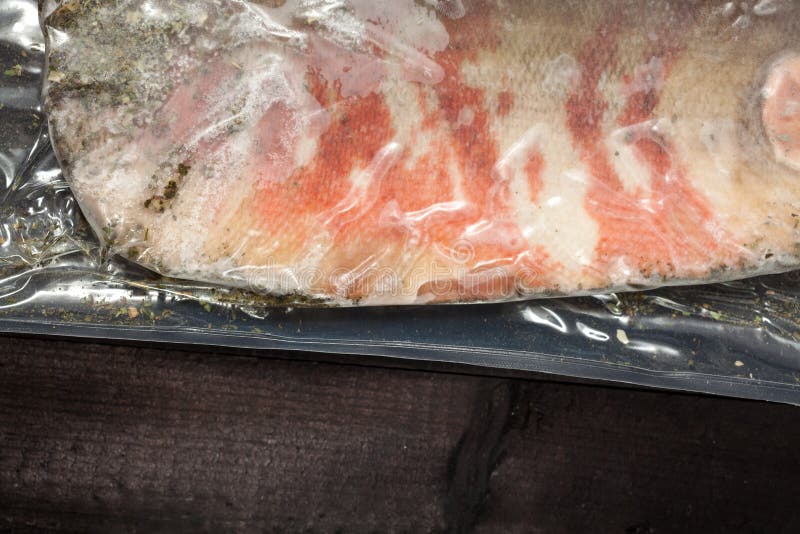 Fish stock photo. Image of food, fresh, nutrition, cuisine - 74398032