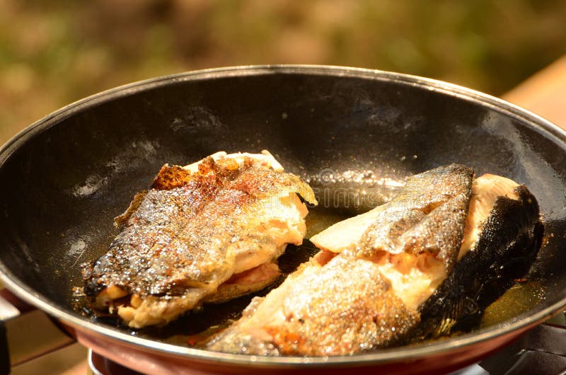 Fish Fry stock photo. Image of fish, kitchen, eating - 21826902