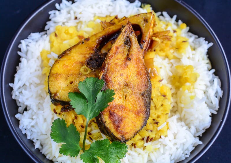 Fish Fry stock photo. Image of bulb, garlic, cutting - 77489618