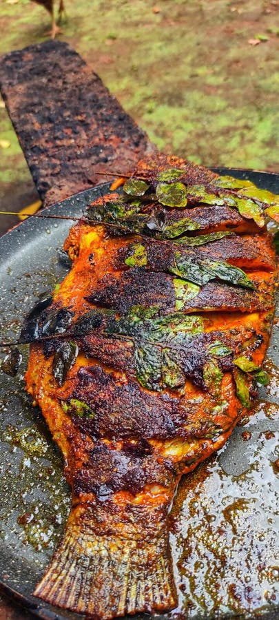 Fish fry hot stock photo. Image of fish, fried, tasty - 224304382