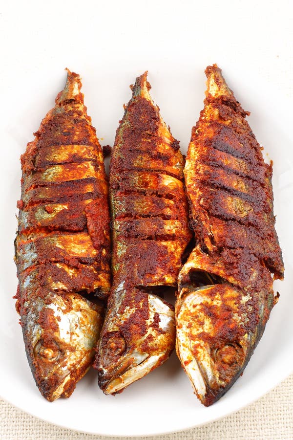 Fish fry stock image. Image of seafood, curry, packaging - 33119113