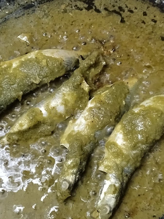 Fish fry masala stock photo. Image of masala, masa, macrel - 257468520
